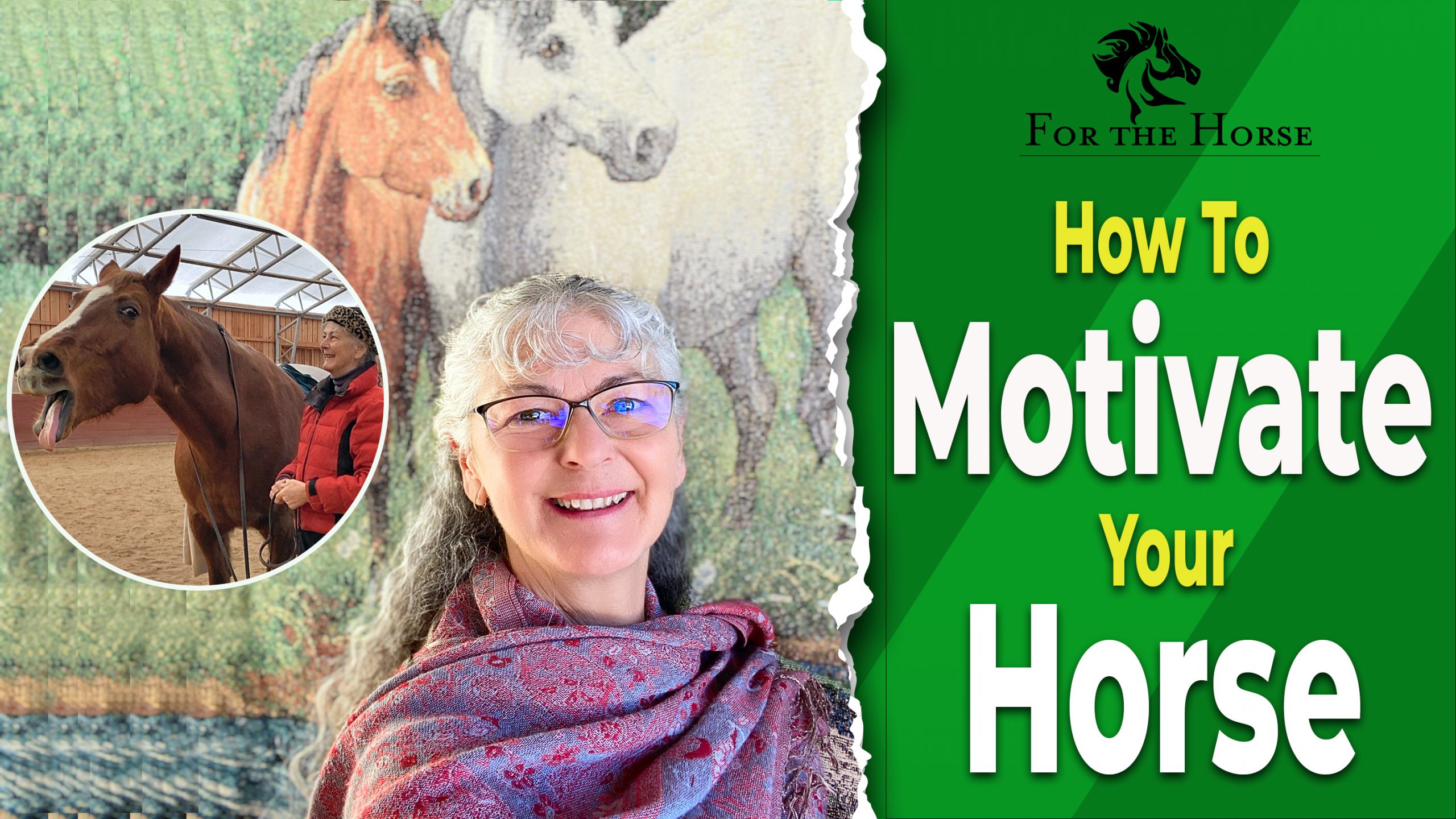 How to Motivate Your Horse - ForTheHorse
