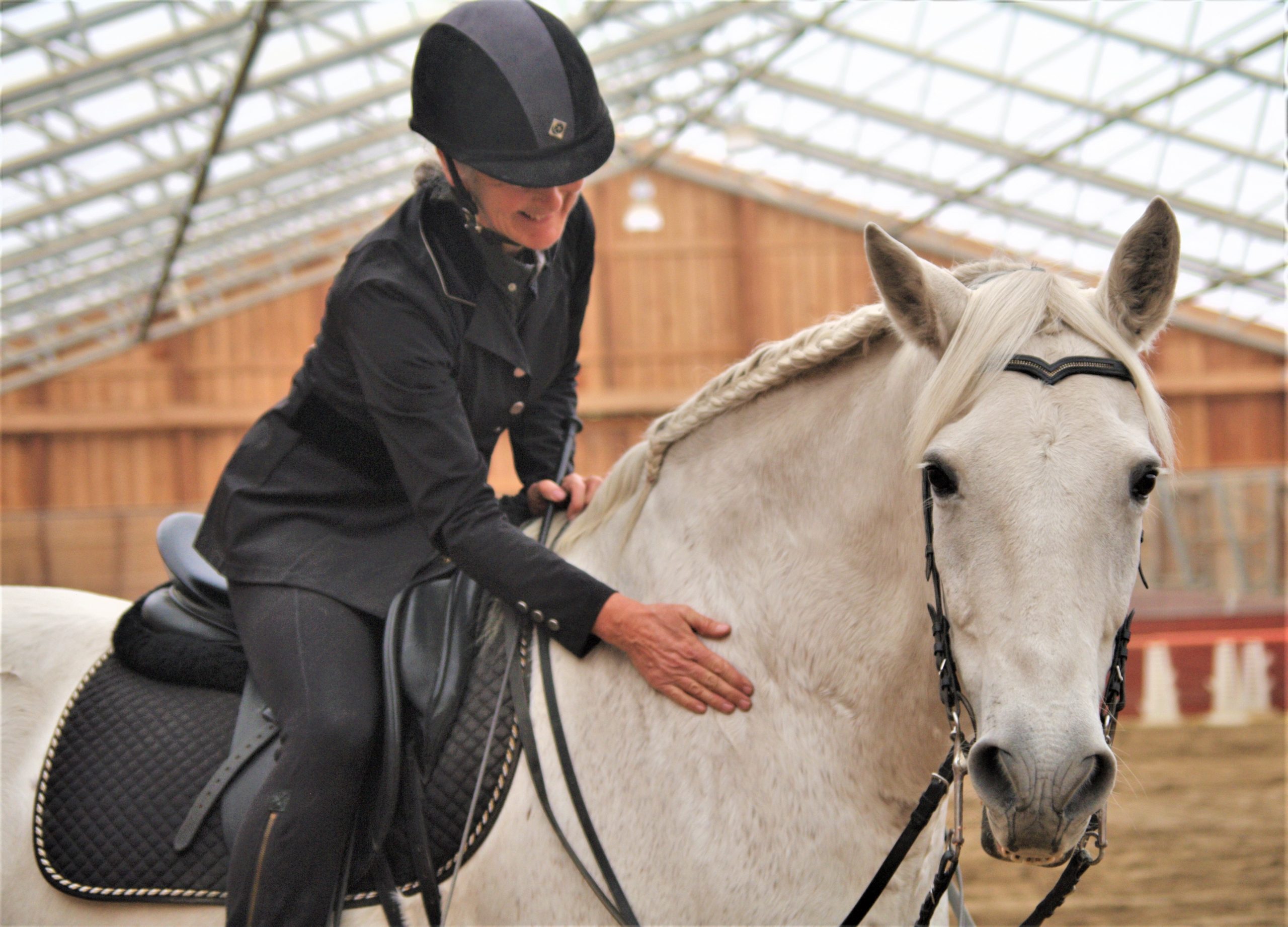 How To Be An Effective Rider In The Saddle? - ForTheHorse