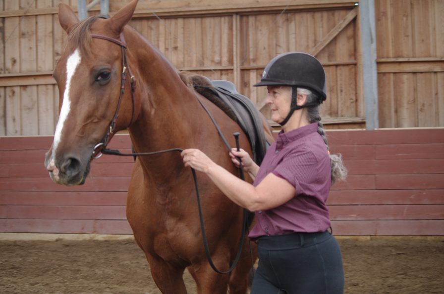 In Hand Horse Training That Makes Sense - ForTheHorse