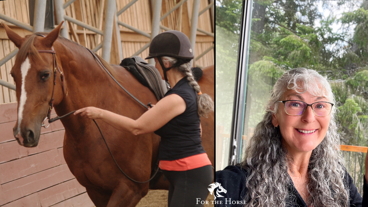 In Hand Horse Training That Makes Sense - ForTheHorse