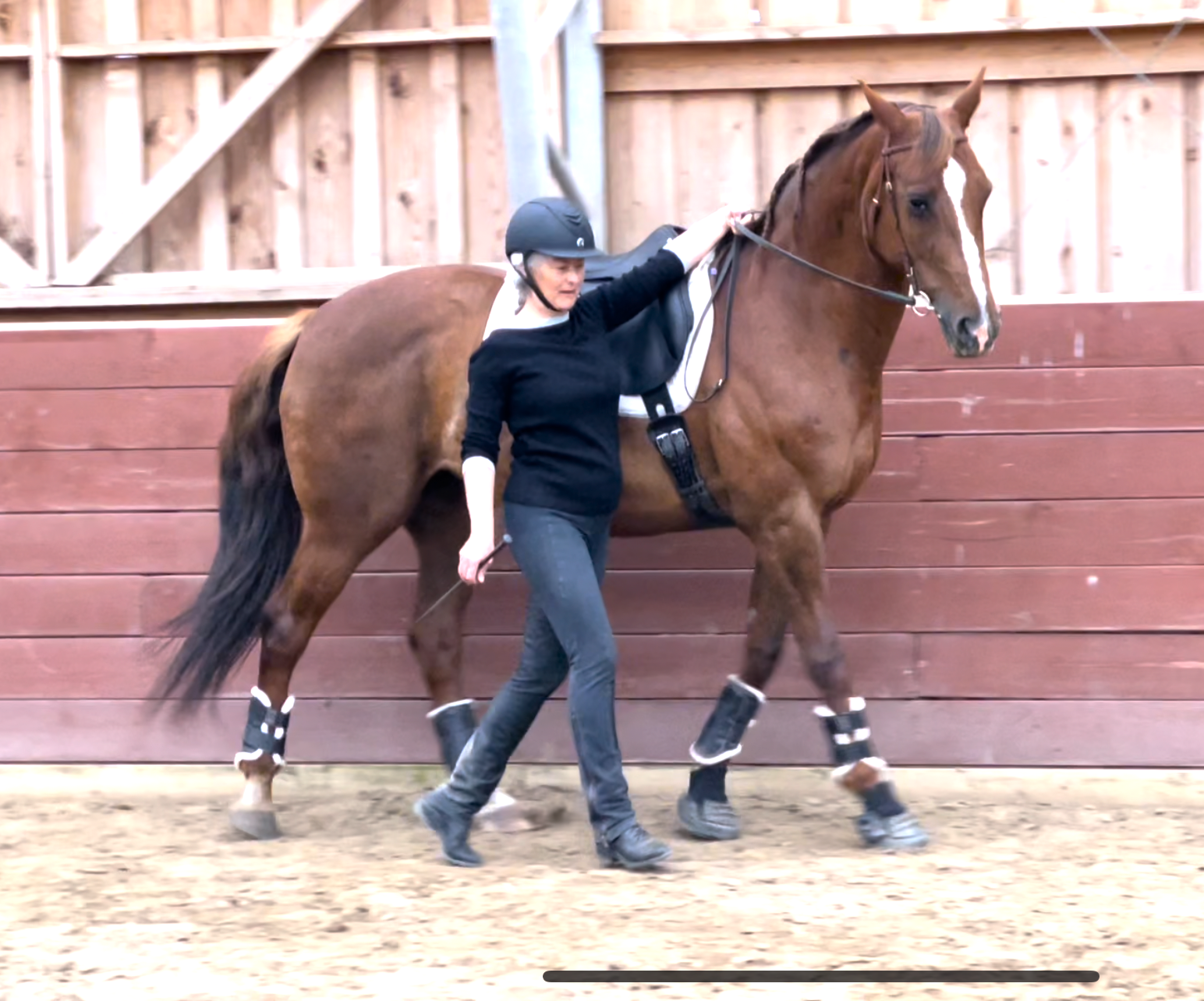 For The Horse Program Outline - ForTheHorse